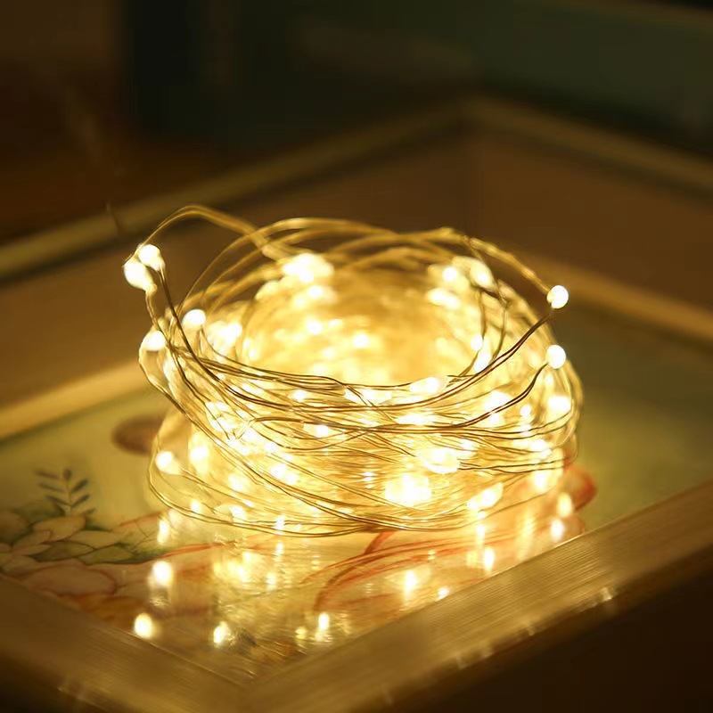 HOMEMORY Christmas Lights Mini LED 1M 2M String Light Copper Wire ...