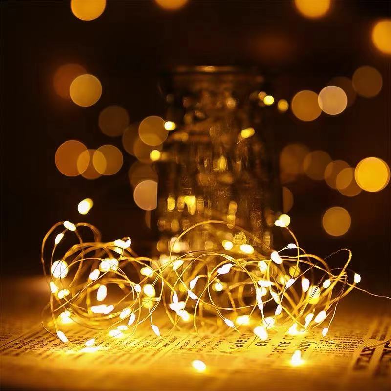 HOMEMORY Christmas Lights 1M 2M Mini LED String Light Copper Wire ...