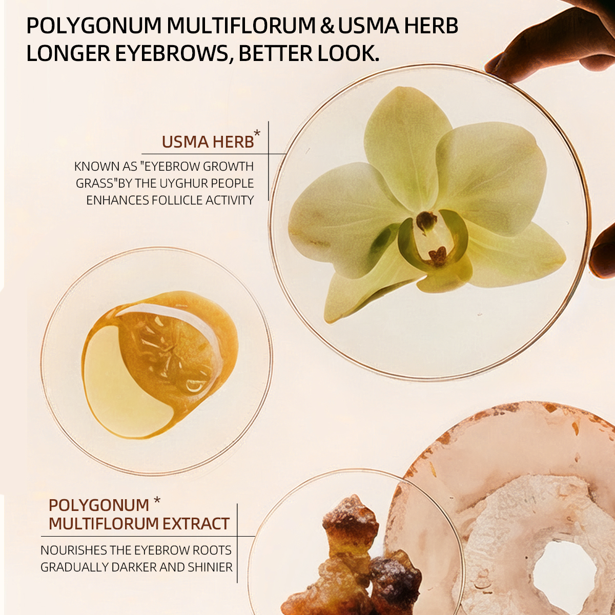 【Live Exclusive】JMCY 3D Shaping Eyebrow Pencil 2Pcs Ultra-Fine Tip ...