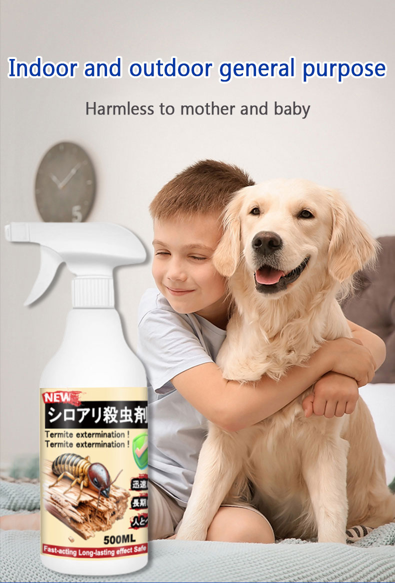 【Quick kill termite】DPP Termite killer Termite killer spray Termite ...