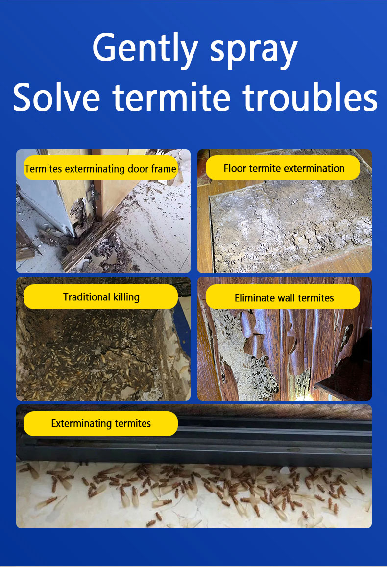 【Quick kill termite】DPP Termite killer Termite killer spray Termite ...