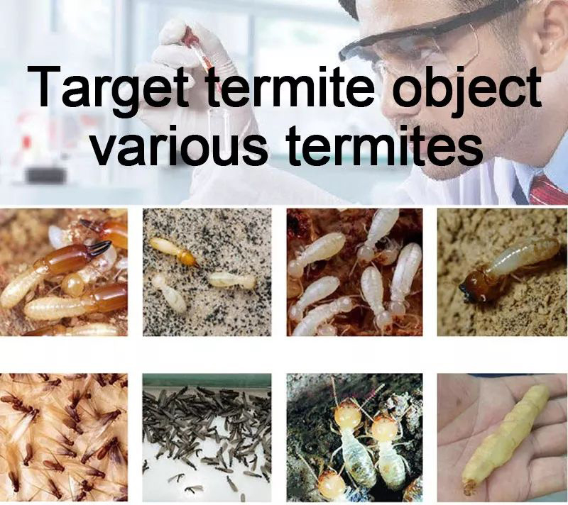 Termite prevention DPP Termite killer powder Anay powder Anay powder ...