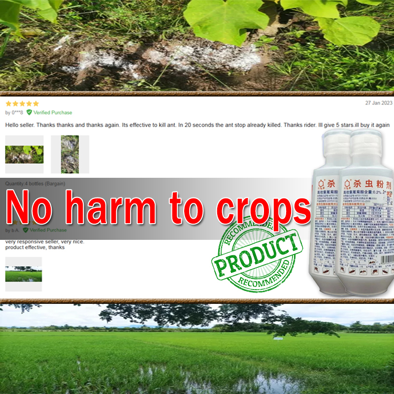 Termite prevention DPP Termite killer powder Anay powder Anay powder ...