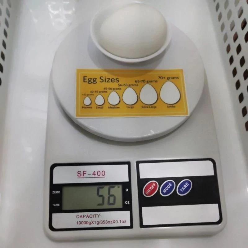 Digital egg scale kitchen scale Egg weighing scale Electronic kitchen ...