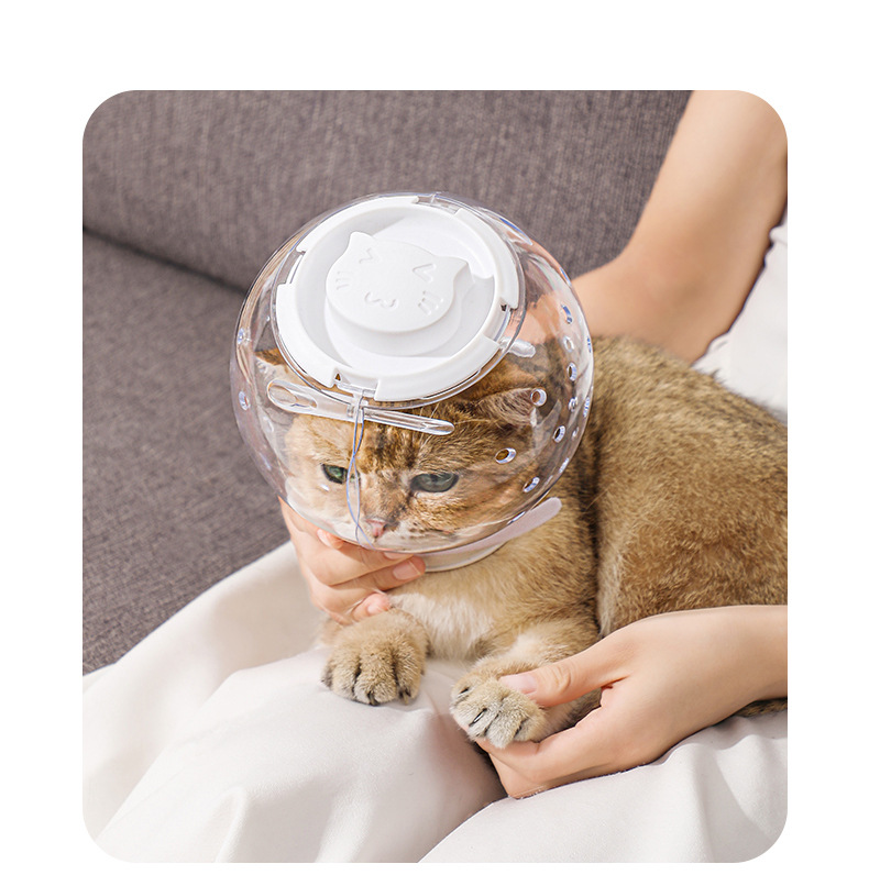 Cat Headgear Cat hood Protective Collar Dog hood For Dog Pet For Dog ...