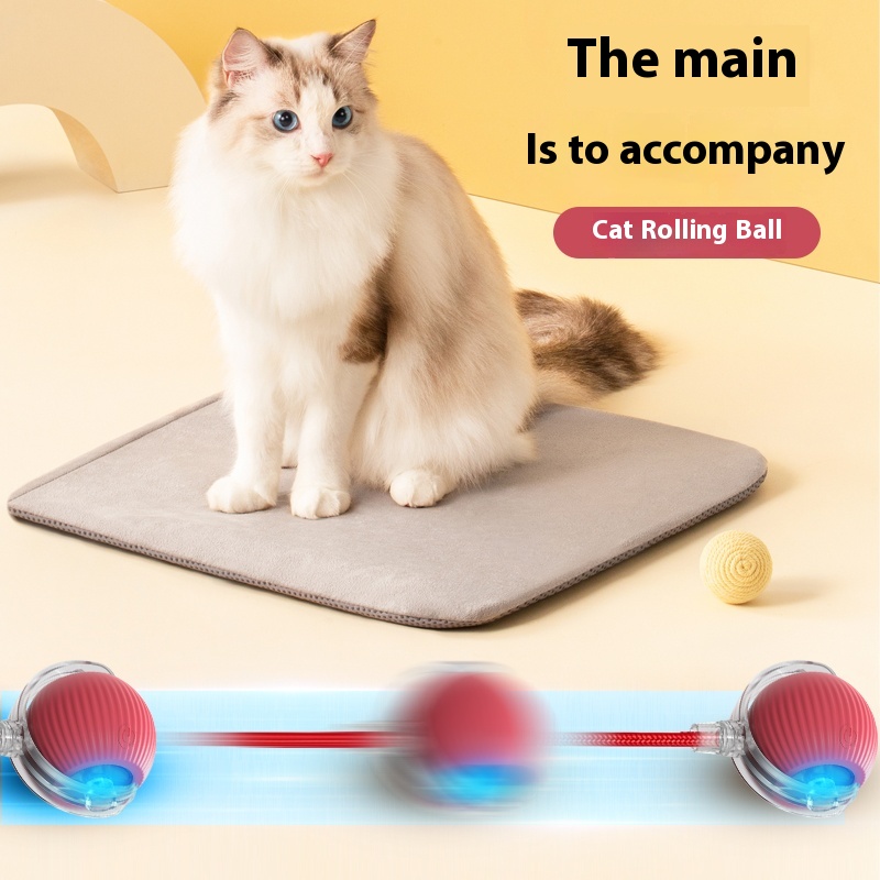 Automatic Rolling Ball Faux Tail Rechargeable Smart Pet Electric Toy ...