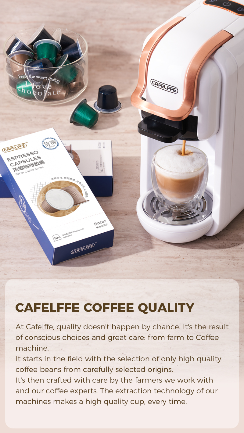 Cafelffe Coffee Capsule 10 capsules/box ( 1 box ) | Shopee Philippines