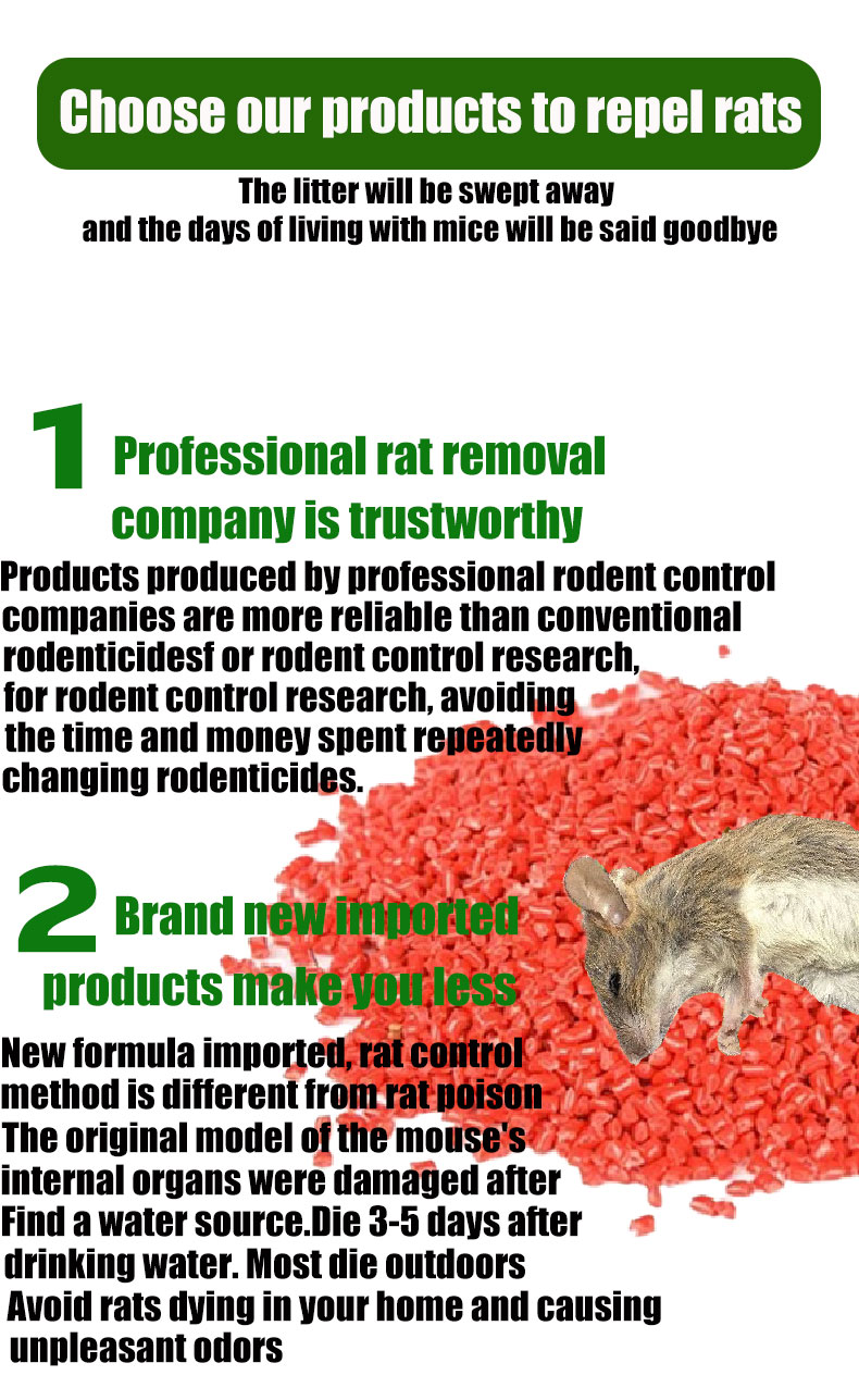 Buy 1 Free 9 rat killer No mice in 10 years rat killer poison Kill ...