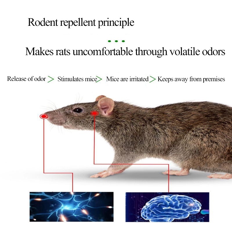 10PCS Rat Repellent Mothballs Poison Mouse Killer Repeller Cockroaches ...