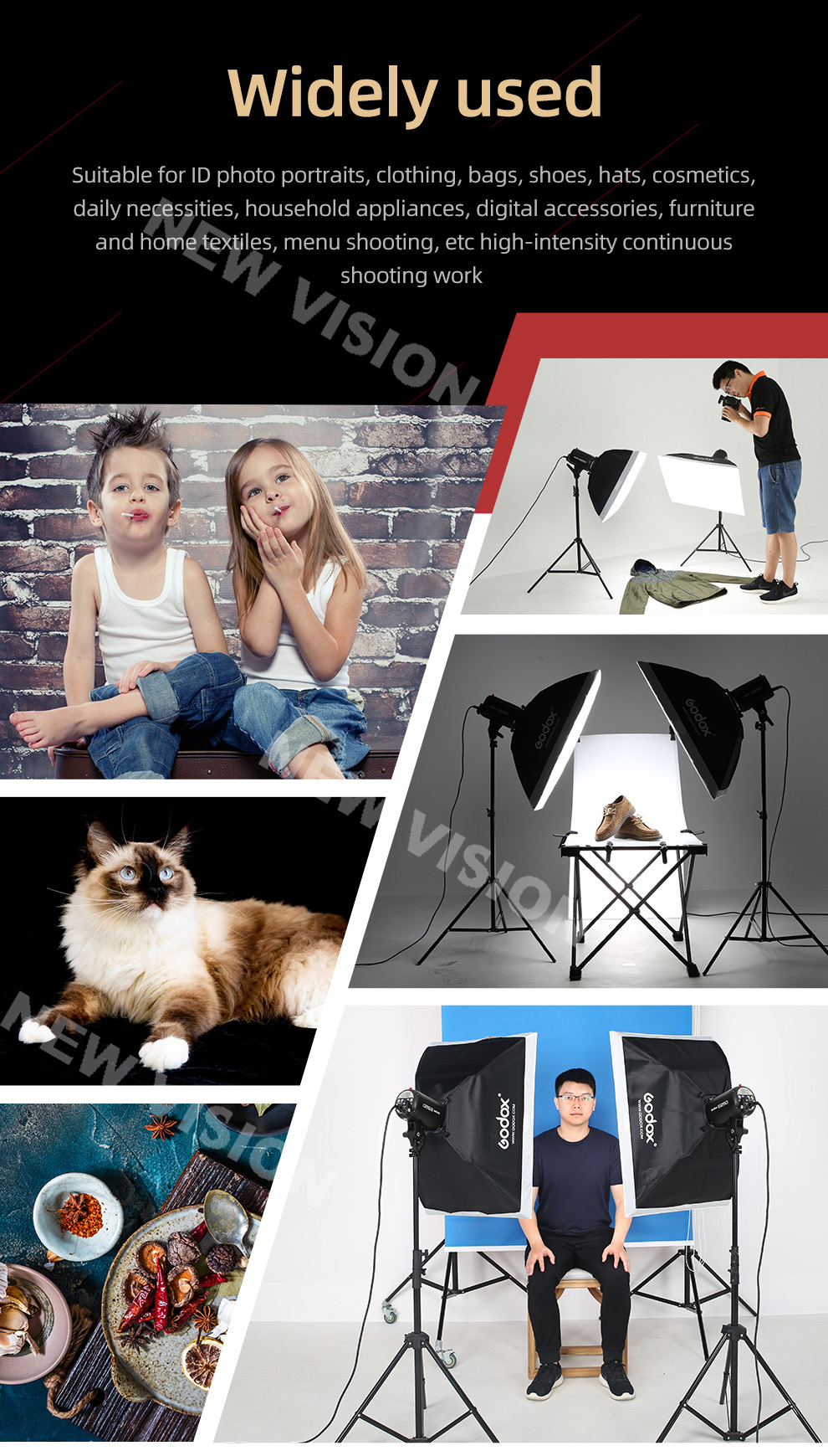 Godox E250 250Ws Studio Flash kit, Light Stand With 50*70cm Softbox+AT ...