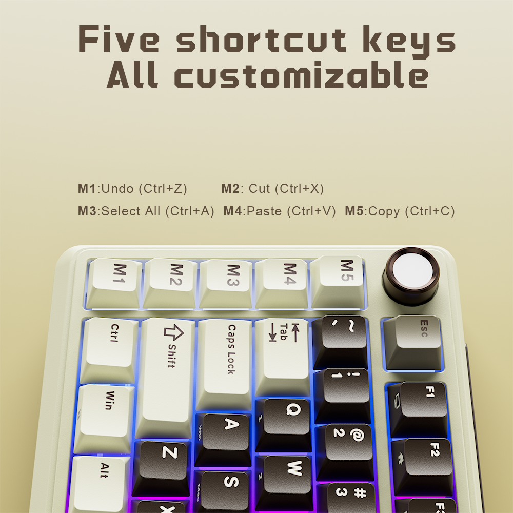 Royal Kludge RK L75 Mocha Grey 85 Key Diy Tri-Mode RGB Wired Bluetooth ...