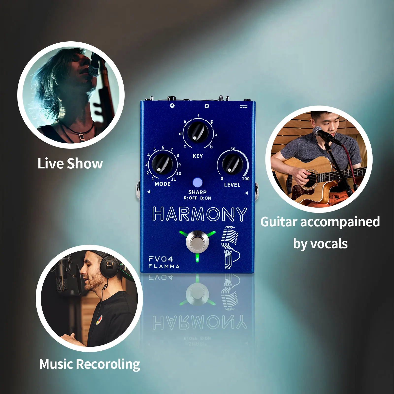Vocal Harmony Effects Processor 12 Pitches with 11 Different Harmony ...