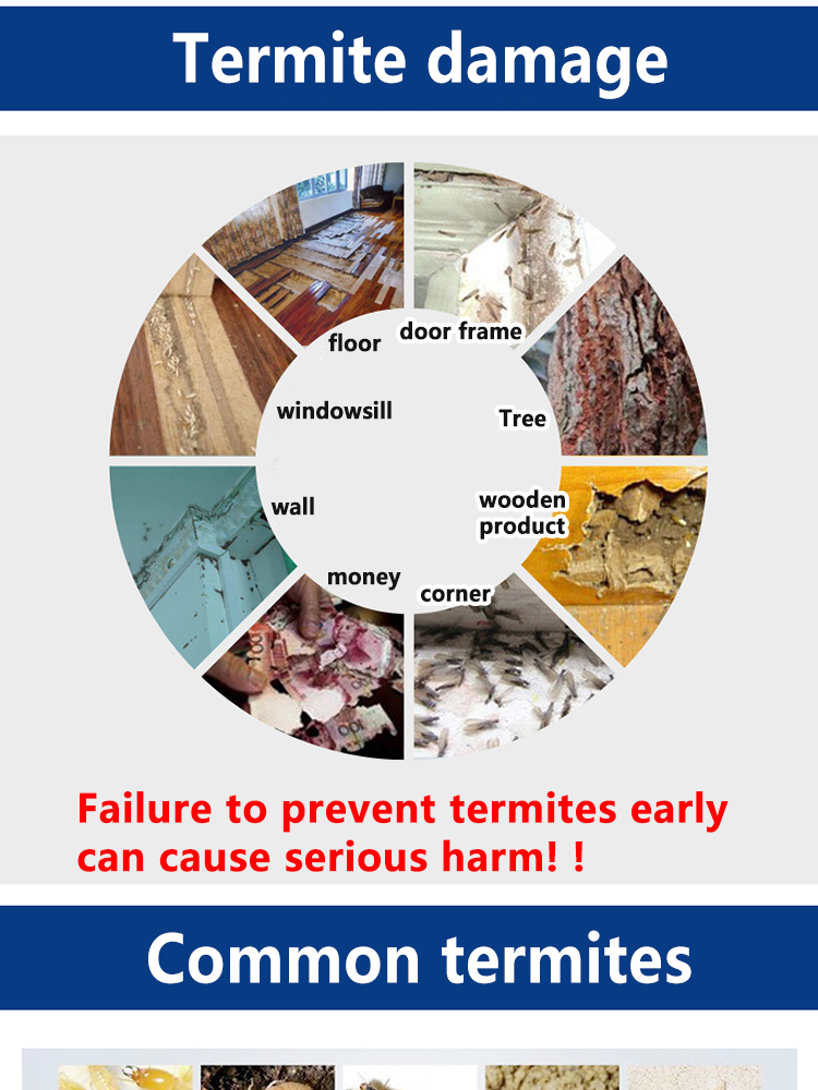 One infected whole nest died termite powder killer 50g anay pest ...