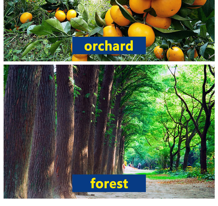 One infected whole nest died termite powder killer 50g anay pest ...