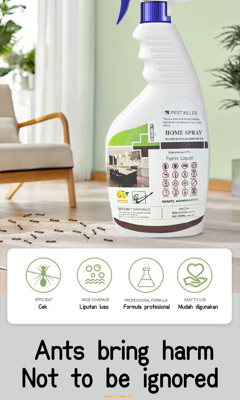 Ant killer DPP Ant spray killer Ant killer spray Ant spray 500ML Ant ...
