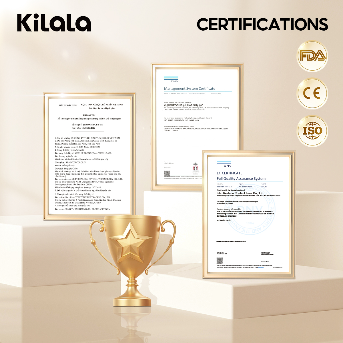 Kilala Colored Contact Lenses 6-Month Disposable Medium Well Brown 2 ...