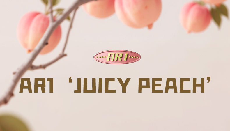 Rigorer Austin Reaves AR1 Basketball Shoes "Juicy Peach" Men's ...