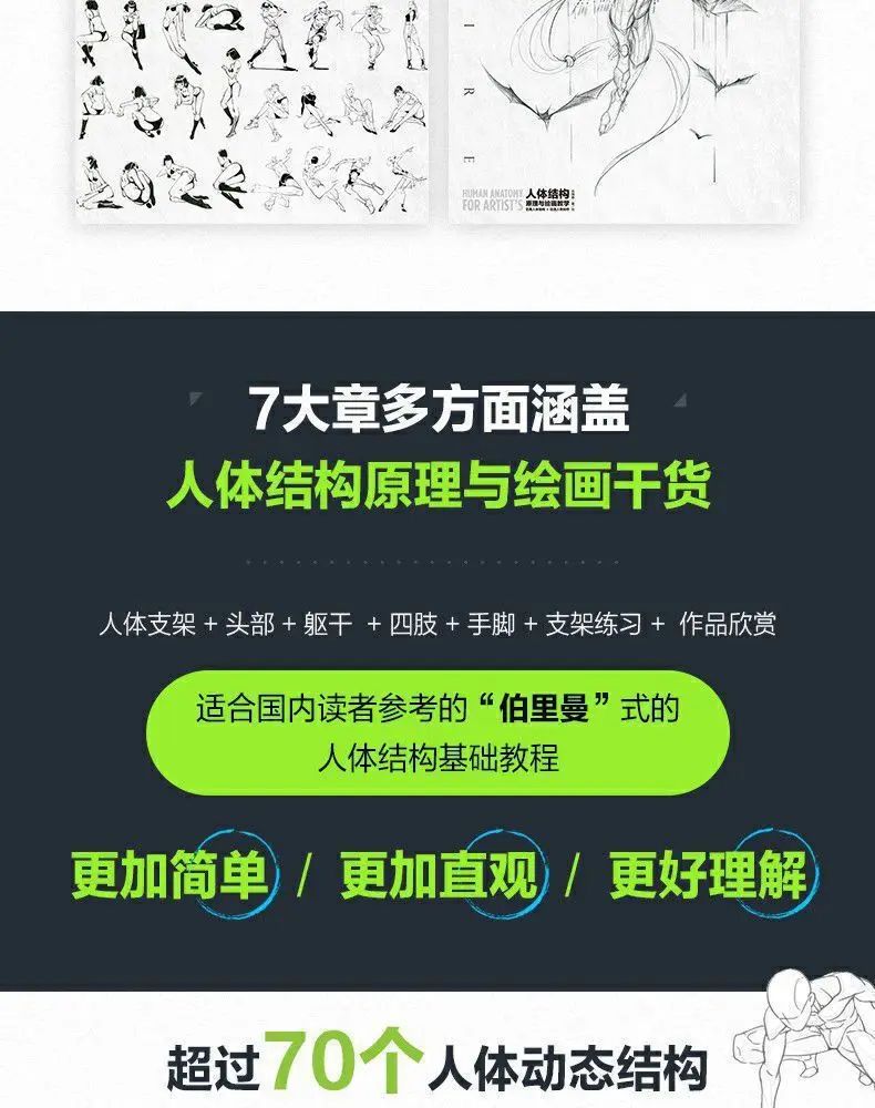 Human Body Structure Principle And Drawing Teaching Human Body