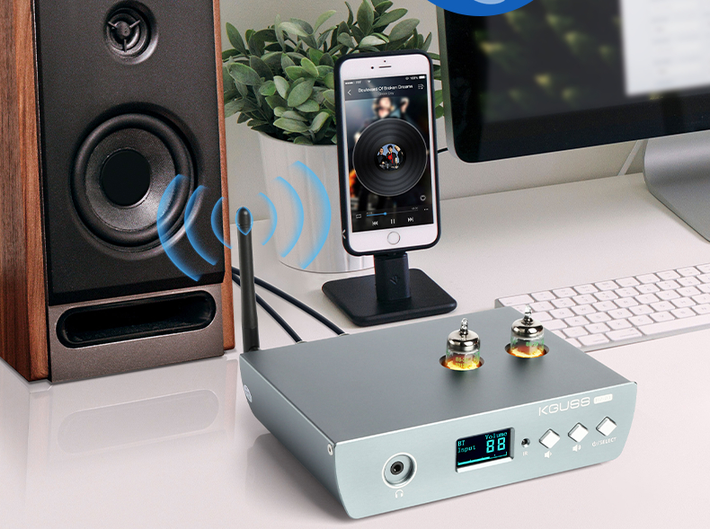 Kguss HP-03 Tube Gallbladder Preamp Headset Amplifier QCC5125 Bluetooth ...