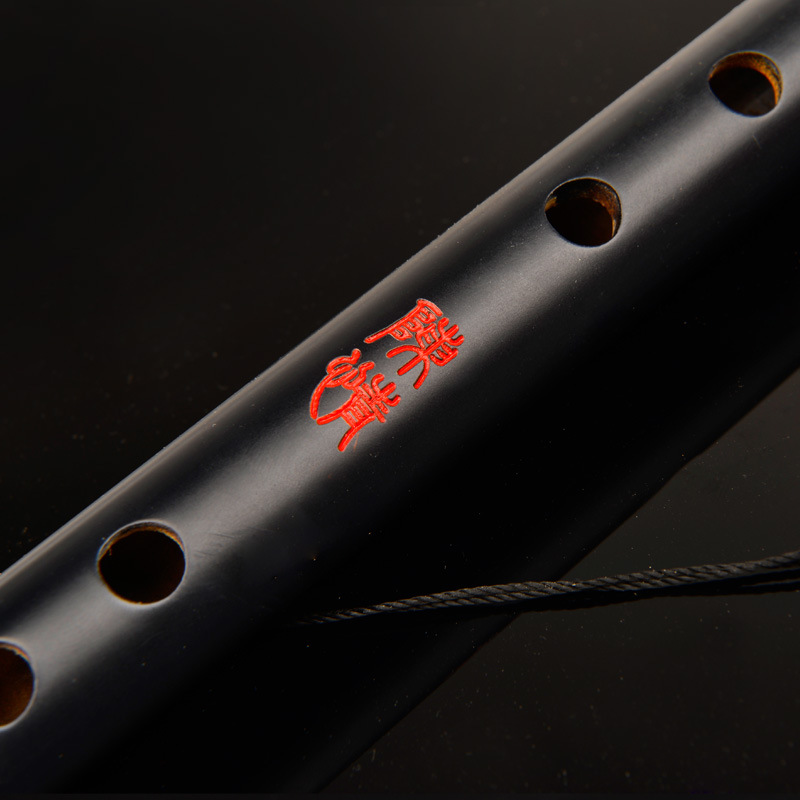 Gift Dizi - Traditional Chinese Magic Master Flute, Hengdi Magic Master ...