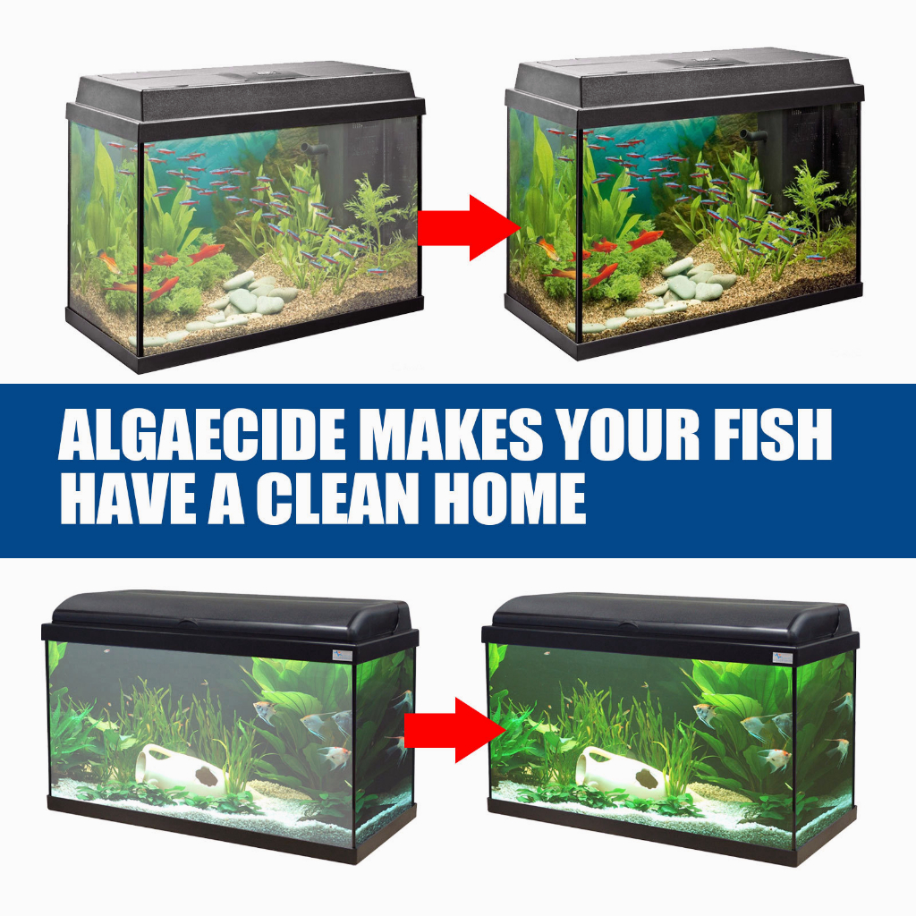 Quality Clarifier Agent Aquarium Cleaner Improve water quality safely ...