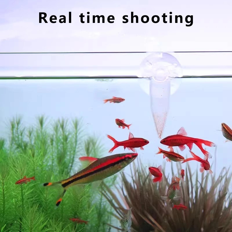 Mini Automatic Fish Feeder With Suction Ring Funnel Cup Fish Food Feed ...