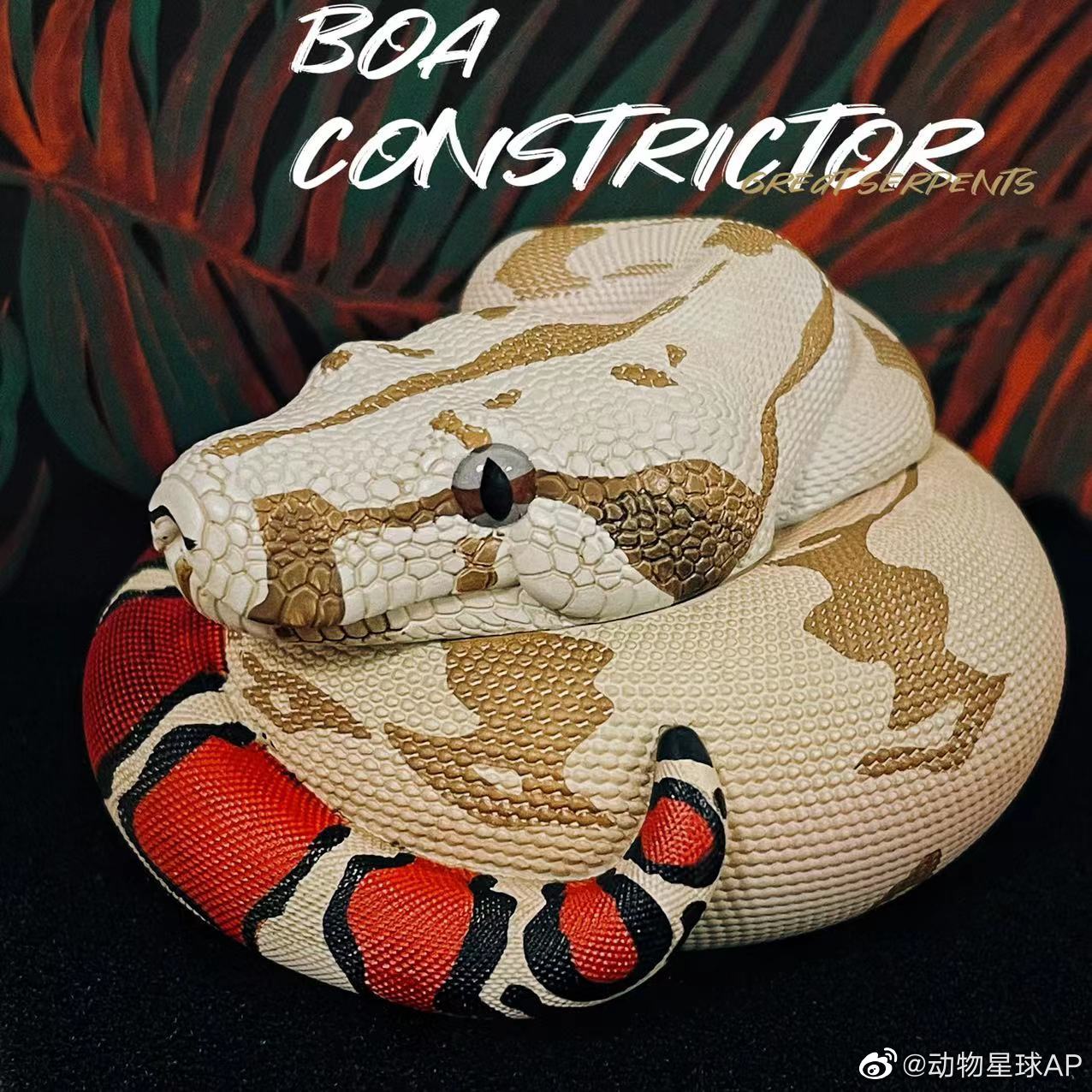 Animal Planet Heart Wide Body Fat No. 9 Python Chapter Red Blood Python ...