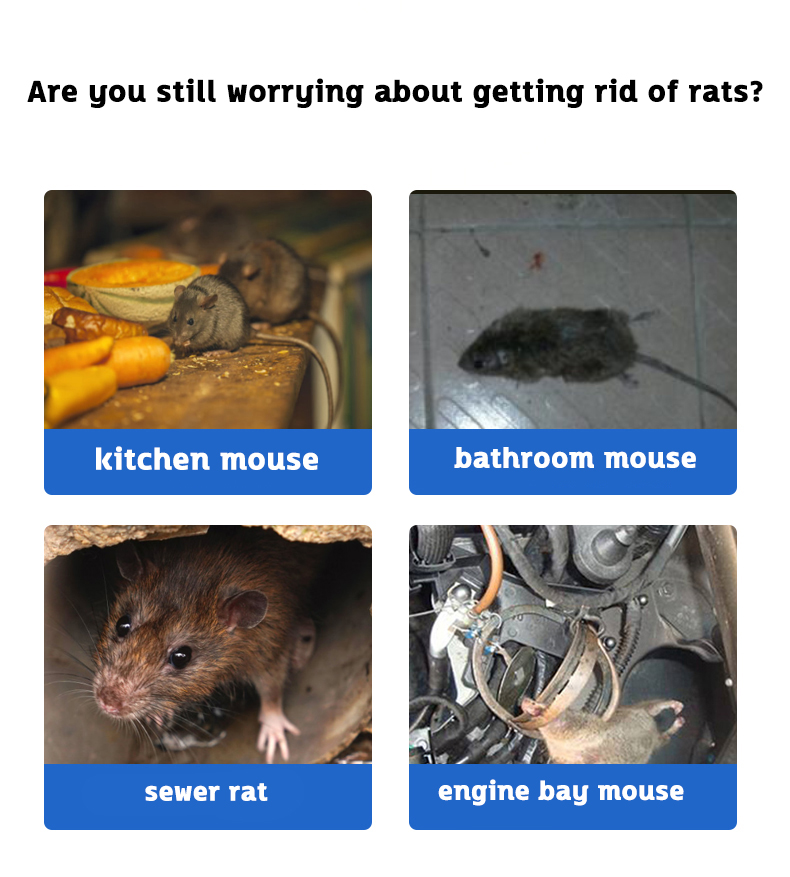 Rat repellent for home 500ml rodent repellent for rat spray rat spray ...