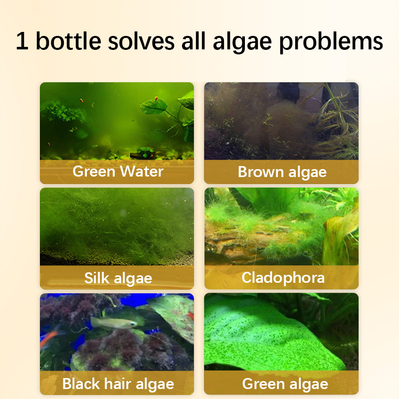 Algae Remover For Aquarium 150 Tablets Aquarium Cleaner Algae Remover ...