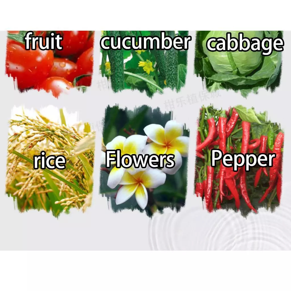 Pesticides Aphids, white flies, diamondback moths, caterpillars ...