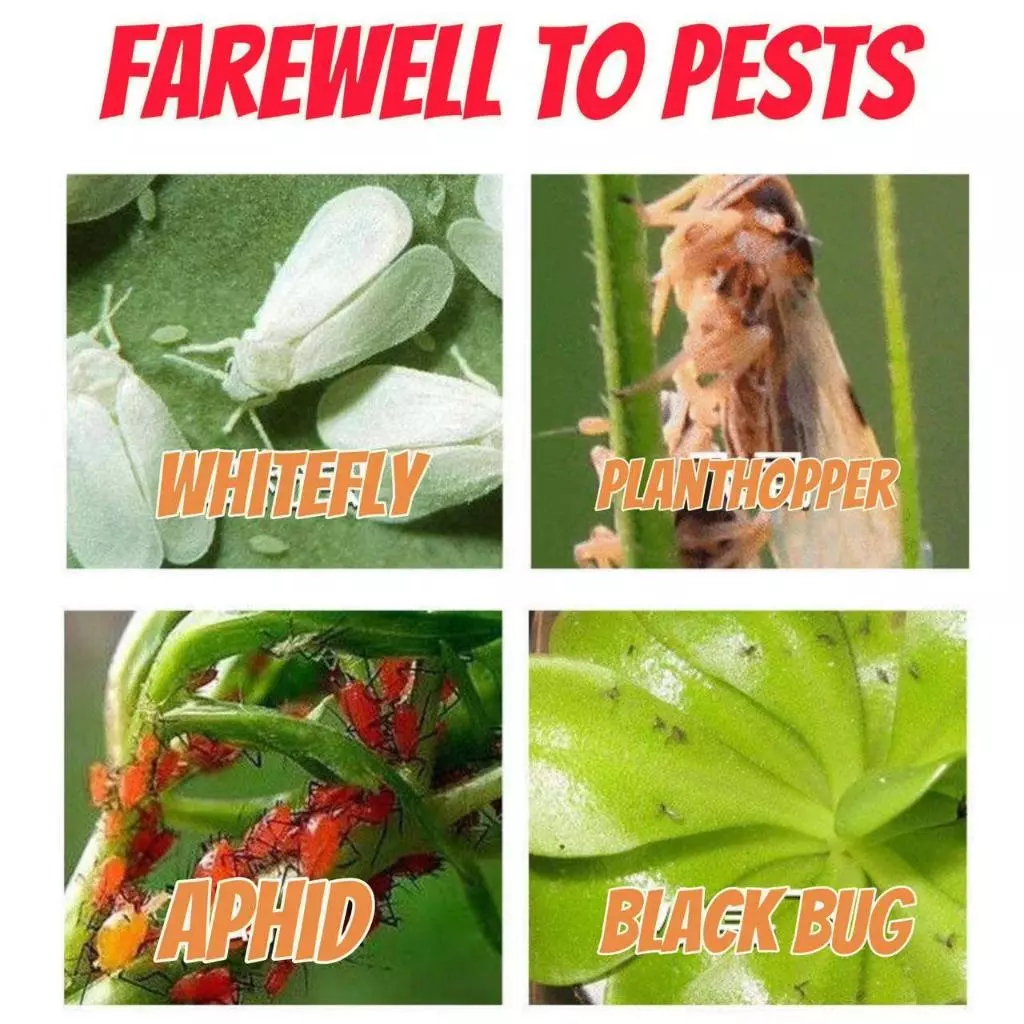 Pesticides Aphids, white flies, diamondback moths, caterpillars ...