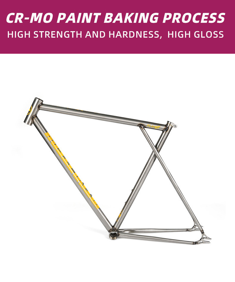 INTRO7 Fixed Gear Bike CR-MO Fixie Frame 52 55cm Track Cycling ...