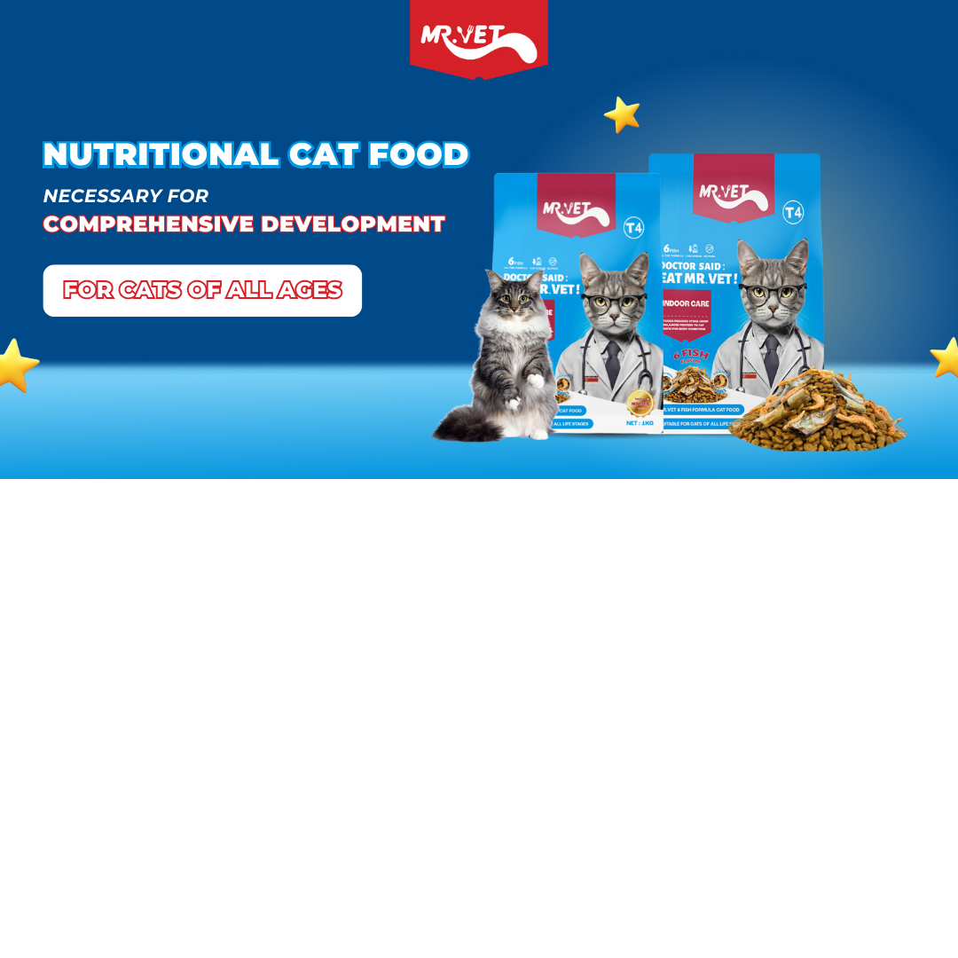MR.VET T4 Dry Cat Food 1kg Packs, holistic formula specially designed ...
