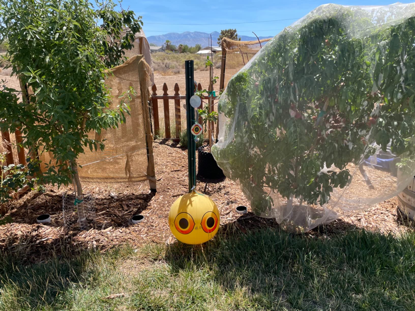 60Mesh Anti-Insect Bird Nets Farm Vegetable Pest Control Screen Garden ...