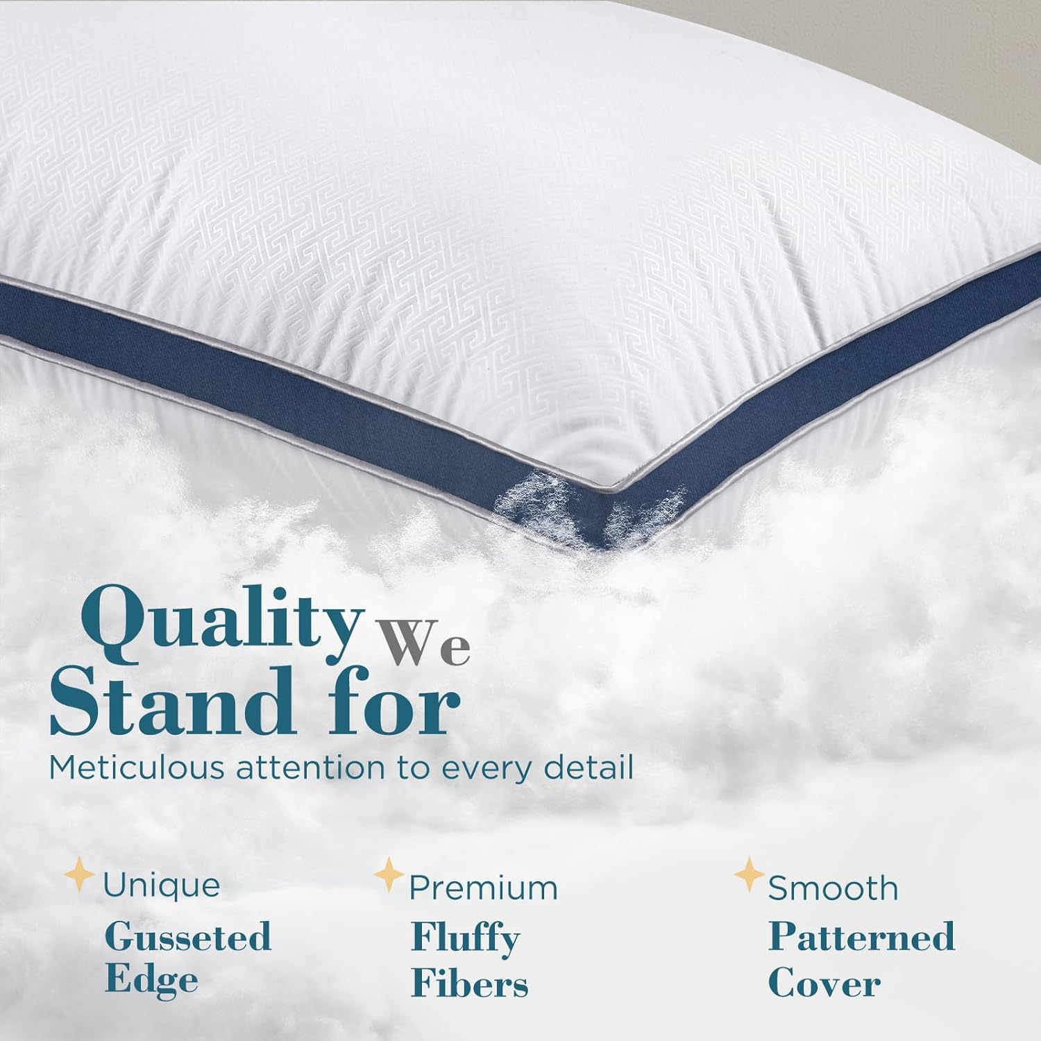 Buy 1 Take 1 Hilton pillow Hilton Quality Hotel Pillow Stay Cool ...