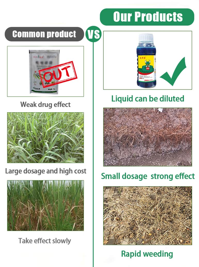 kill grass herbicide japan CP Herbicide grass killer Herbicide for ...