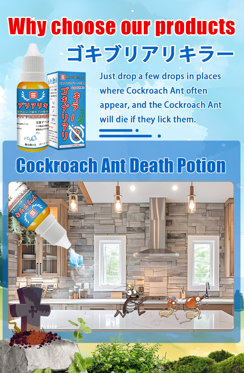 No ants No roaches BS Liquid ant bait Ant killer liquid Roach killer ...