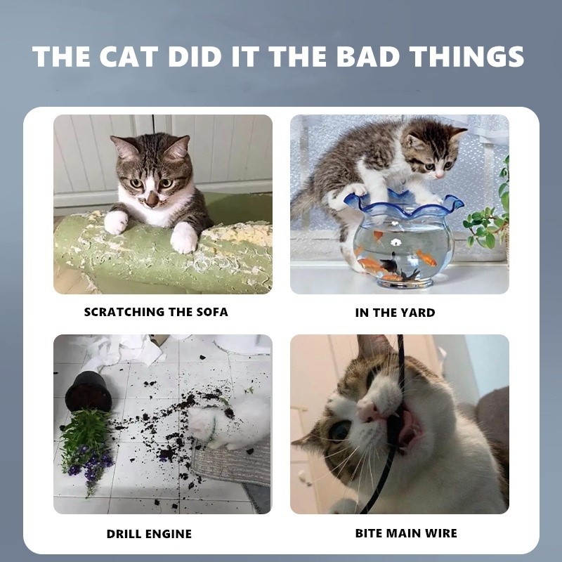 Anti-cat mat with spikes Transparent Anti-cat Thorn Anti-cat Net Cat ...