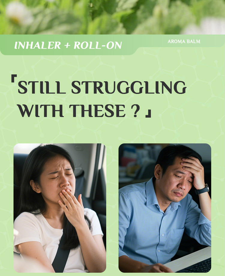 Terra Pafe Aroma Balm (3 pieces) - Fresh and Relaxing Scent, Green ...