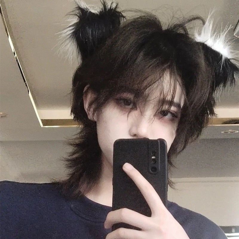 Wolf Wig Handsome Unisex Wig Wolf Cut Wig 40CM Cosplay Wig Daily ...