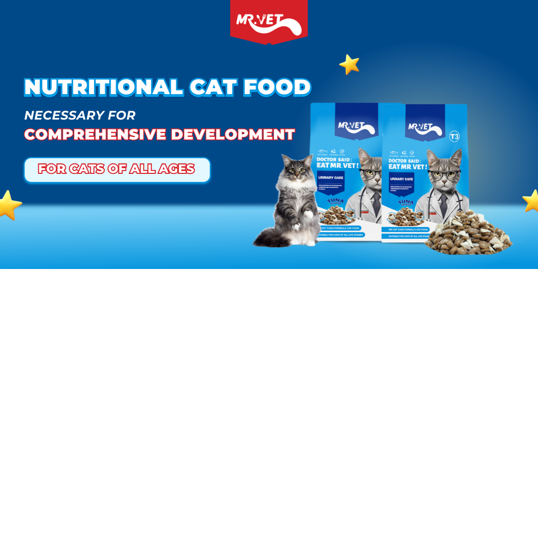 MR.VET T3 Cat Kibble 1kg, Urinary Care, Provides High-quality Protein ...