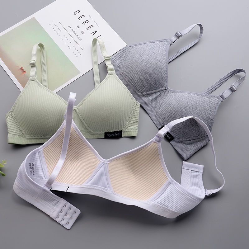 BUY 2 TAKE 1 Thin Padded Cotton Non-Wire Bra Underwear for Women ...