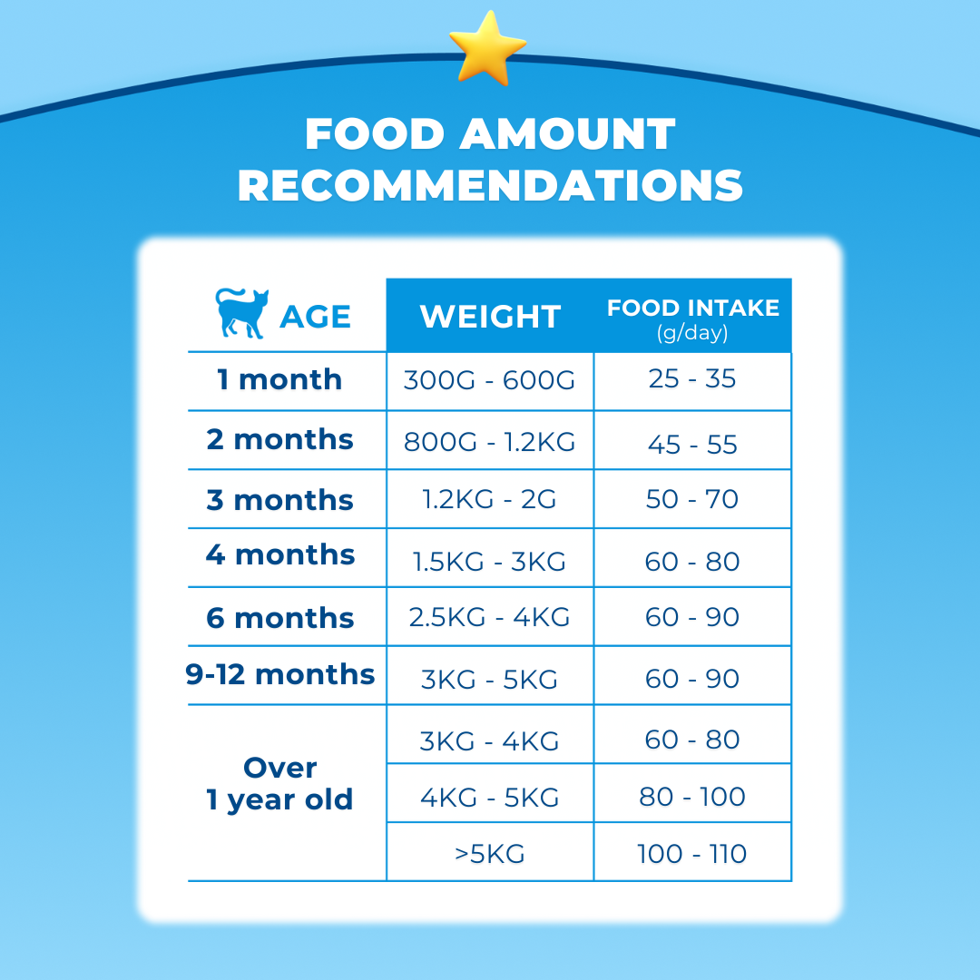 MR.VET T3 Cat Kibble 3kg, Urinary Care, Provides high-quality protein ...