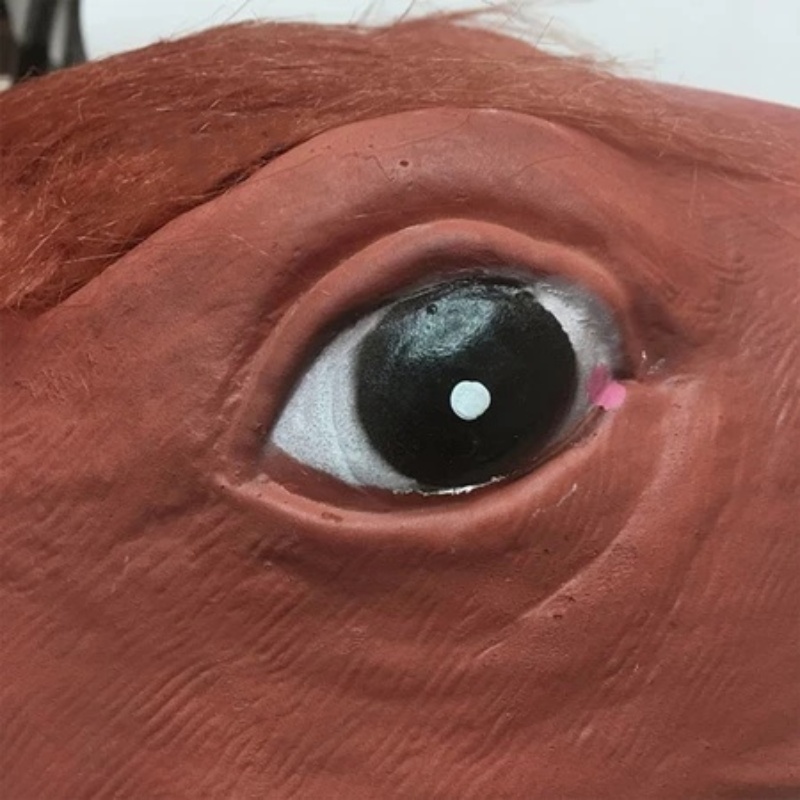 【24H ship】Realistic Horse Head Masks Full Head Fur Mane Latex Creepy ...