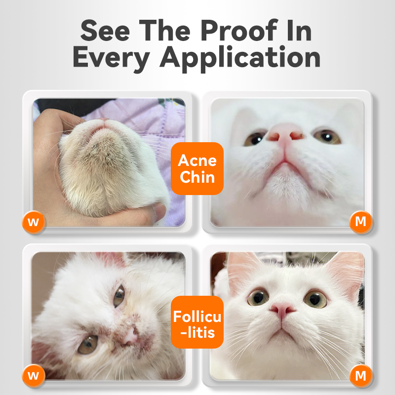 PUAINTA Cat Acne Remover Black Chin Cleaning Oil Tail Folliculitis ...