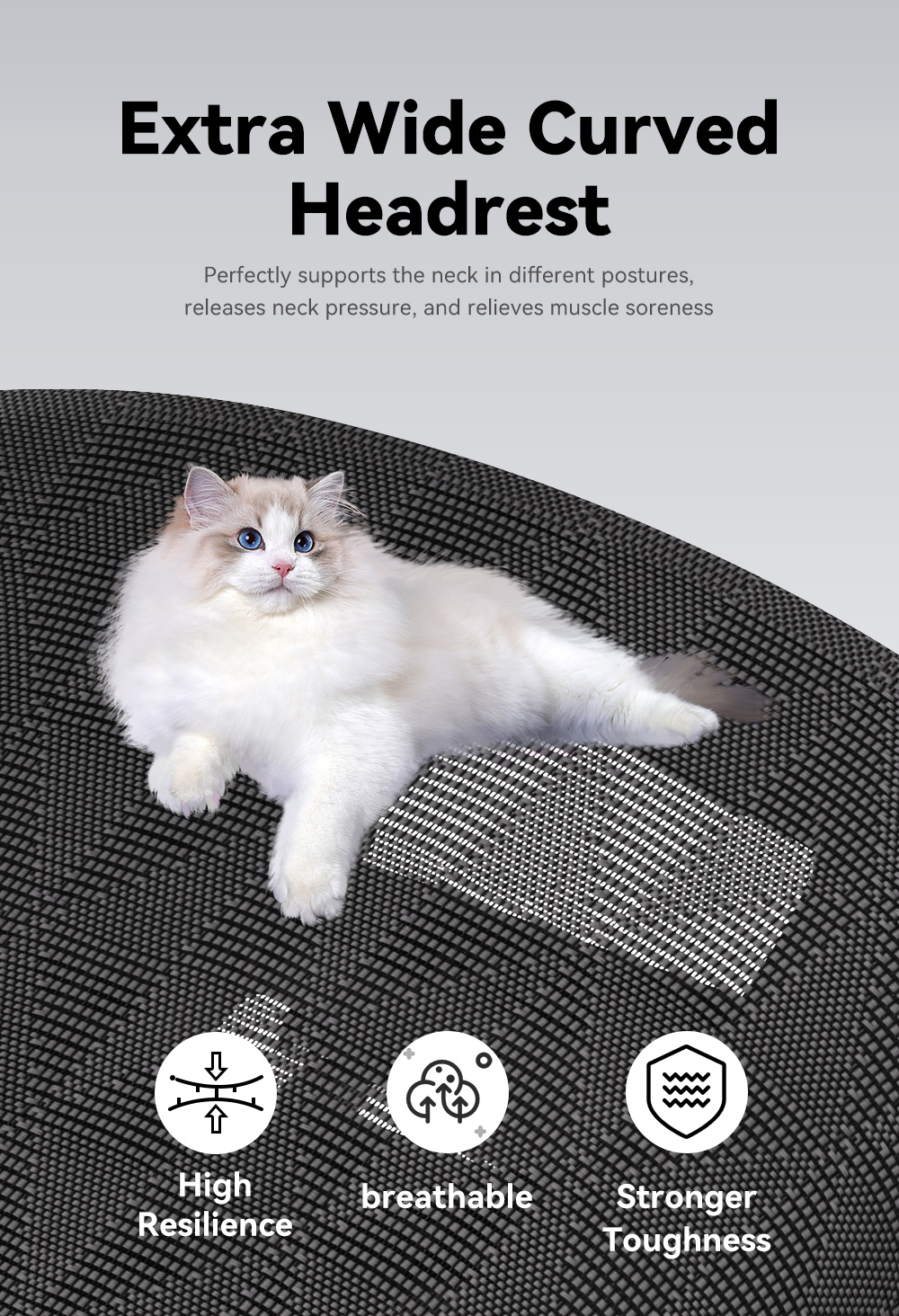 MUSSO H80 CLASS Ergonomic Chair with Adjustable Back Height 3D Armrest ...