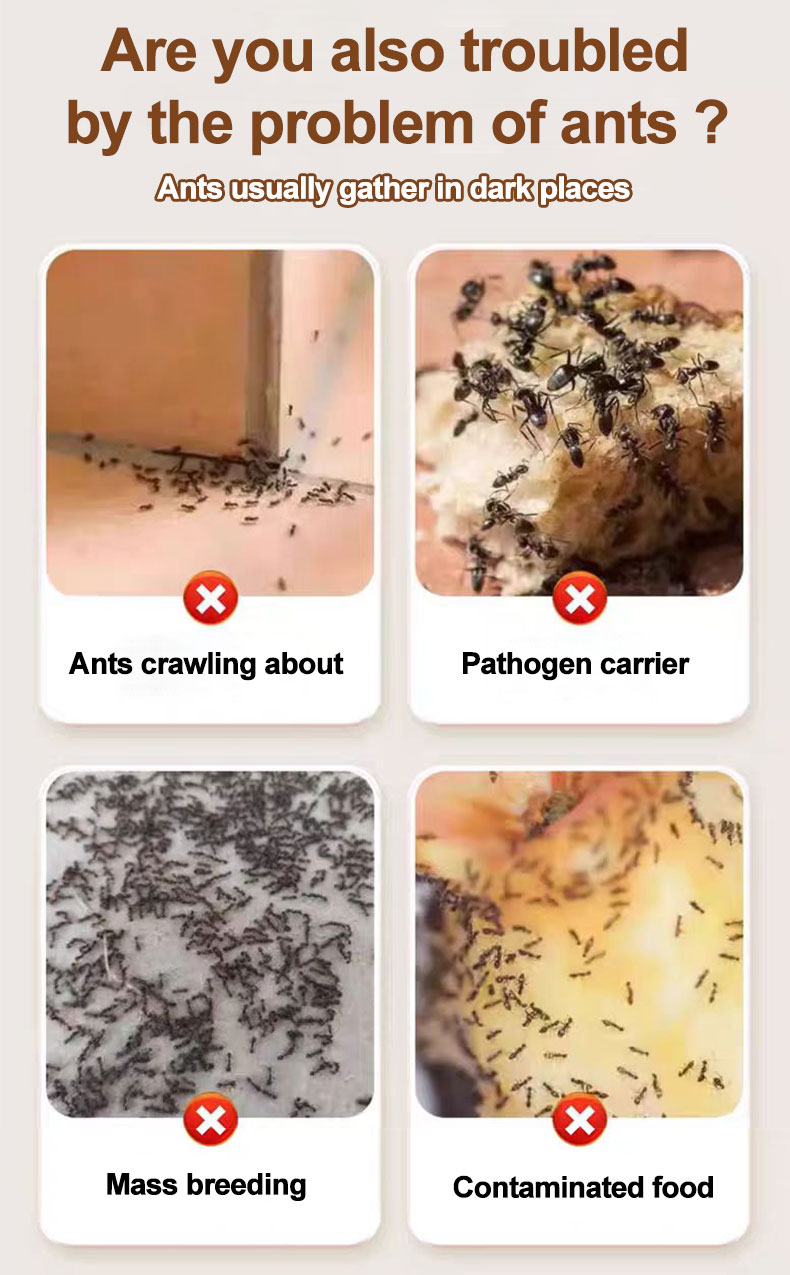 【Buy 1 get 1 free！！！】 ant killer ant bait anti ants killer Kill the ...