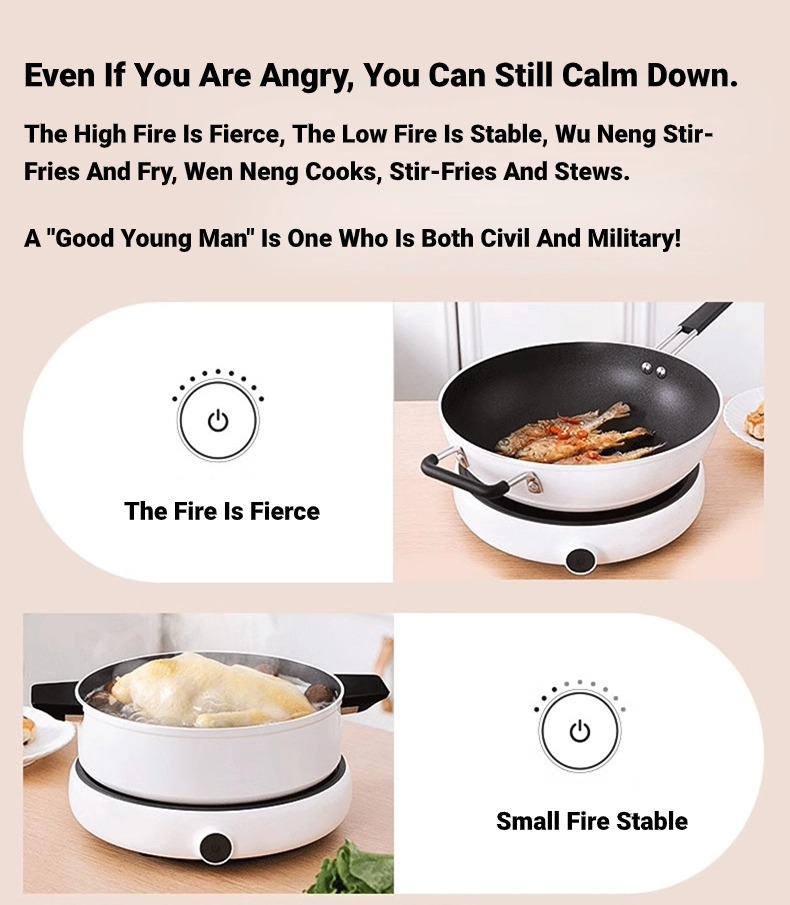 LiFeite Smart Induction Cooker Youth Version 2100W High Power with 9 ...