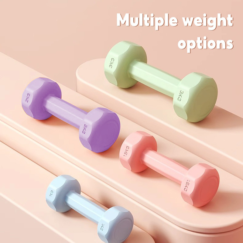 2Pcs Dumbbell Set Pair 1KG/2KG/3KG/ Fitness Equipment Exercise Home ...