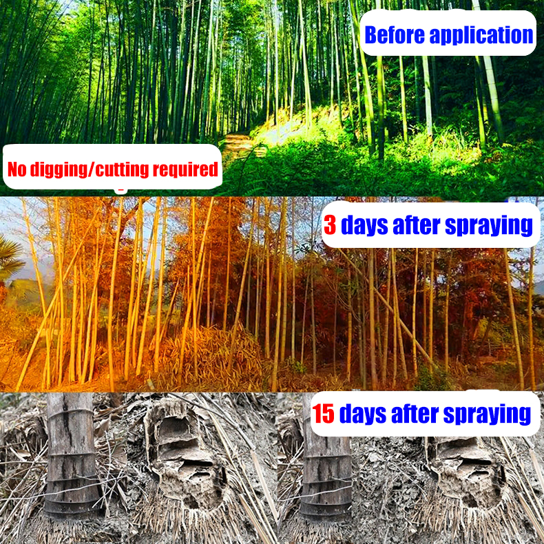 【Granular form, no water required】herbicide to kill tree,hexazione ...